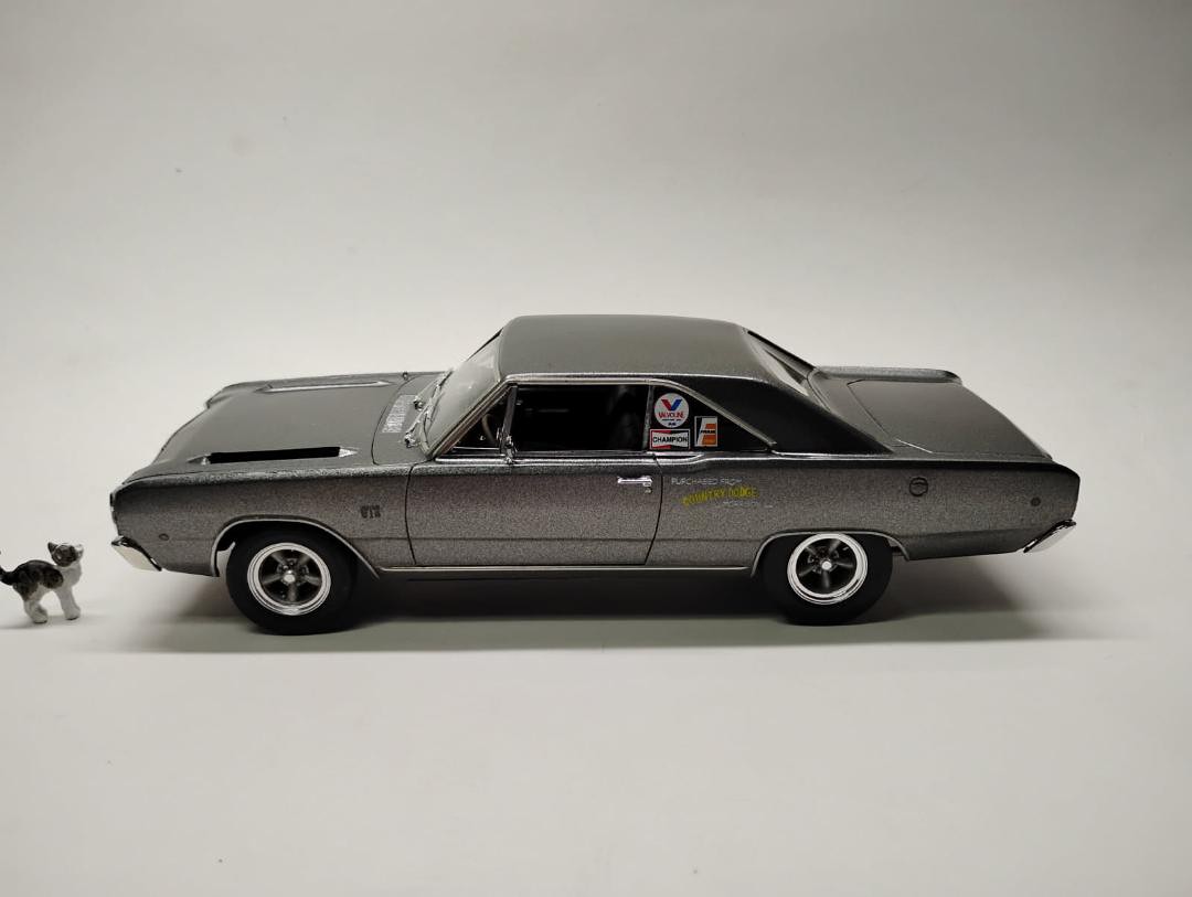 Photo: 68 DART GREY | Frank's 2025 album | NitroMarty | Fotki.com ...
