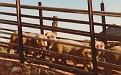 Nonning Station album | ooO(PETER)Ooo | Fotki.com, photo and video ...
