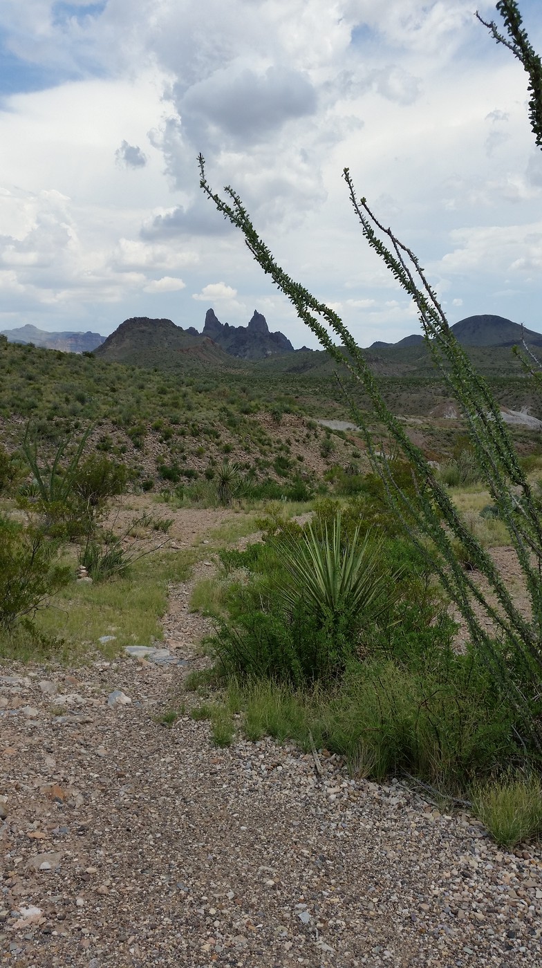 Photo: The Mule Ears Viewpoint Area | Big Bend National Park album ...