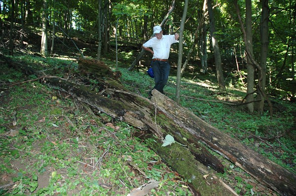 American Airlines Flight 383 Crash Site Hikes album | Rollie Puterbaugh ...