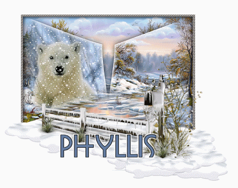 Photo: Phyllis Polar Bears Lisa | Birds & Animals album | PhyllisE ...