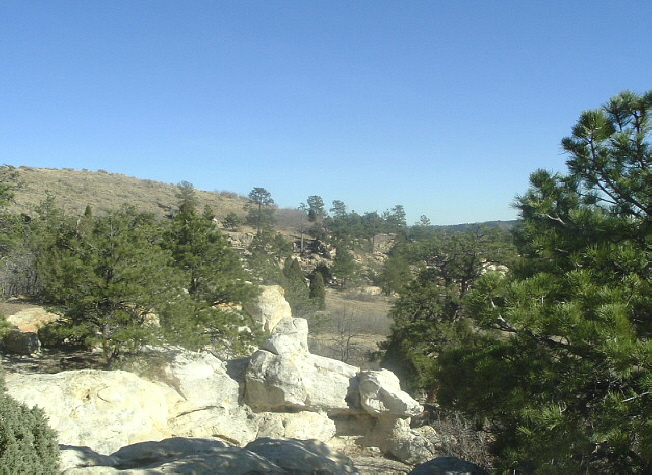 Photo: Craggy and Sparsely Forested | I Moved to Colorado Springs album ...
