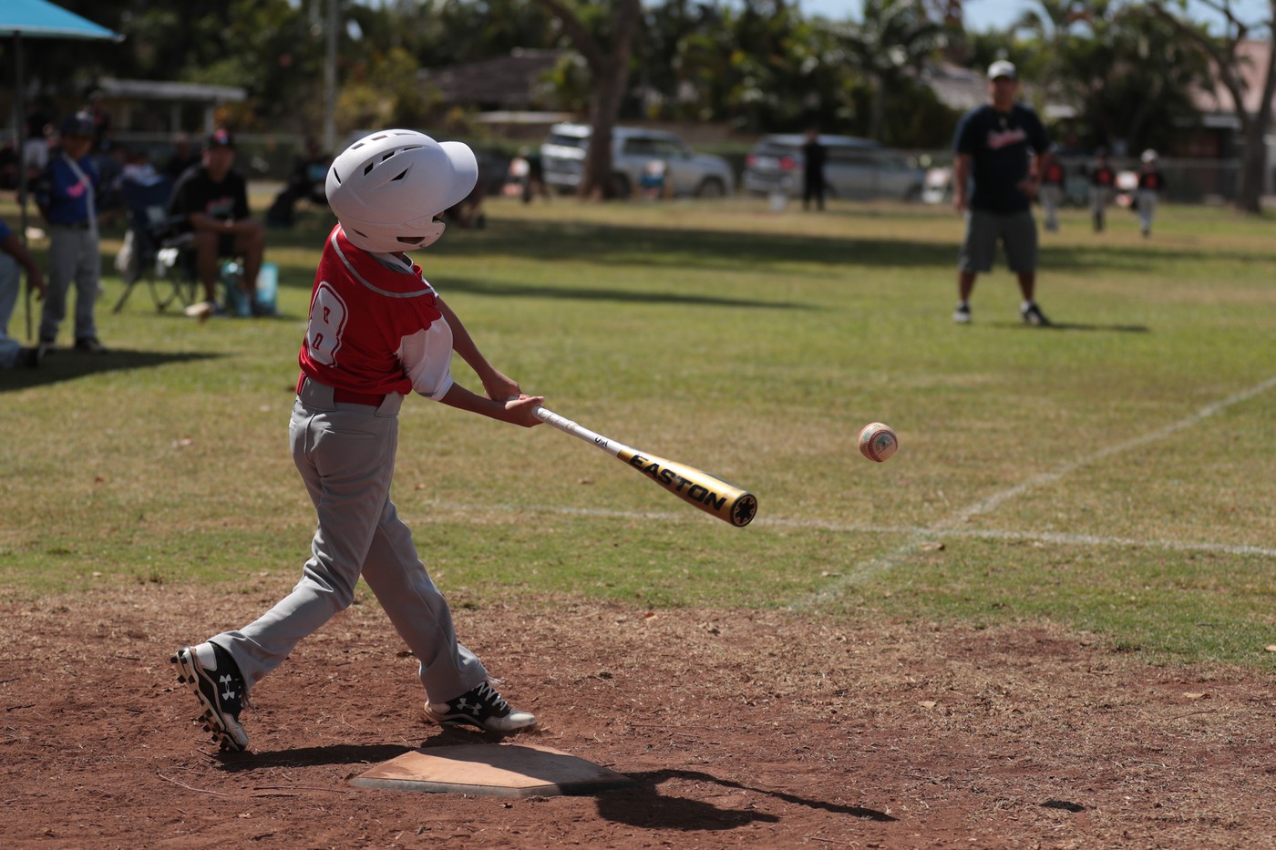 Photo: AM4I8081 (2) | Hawaii Diamond Head Pinto Baseball album ...