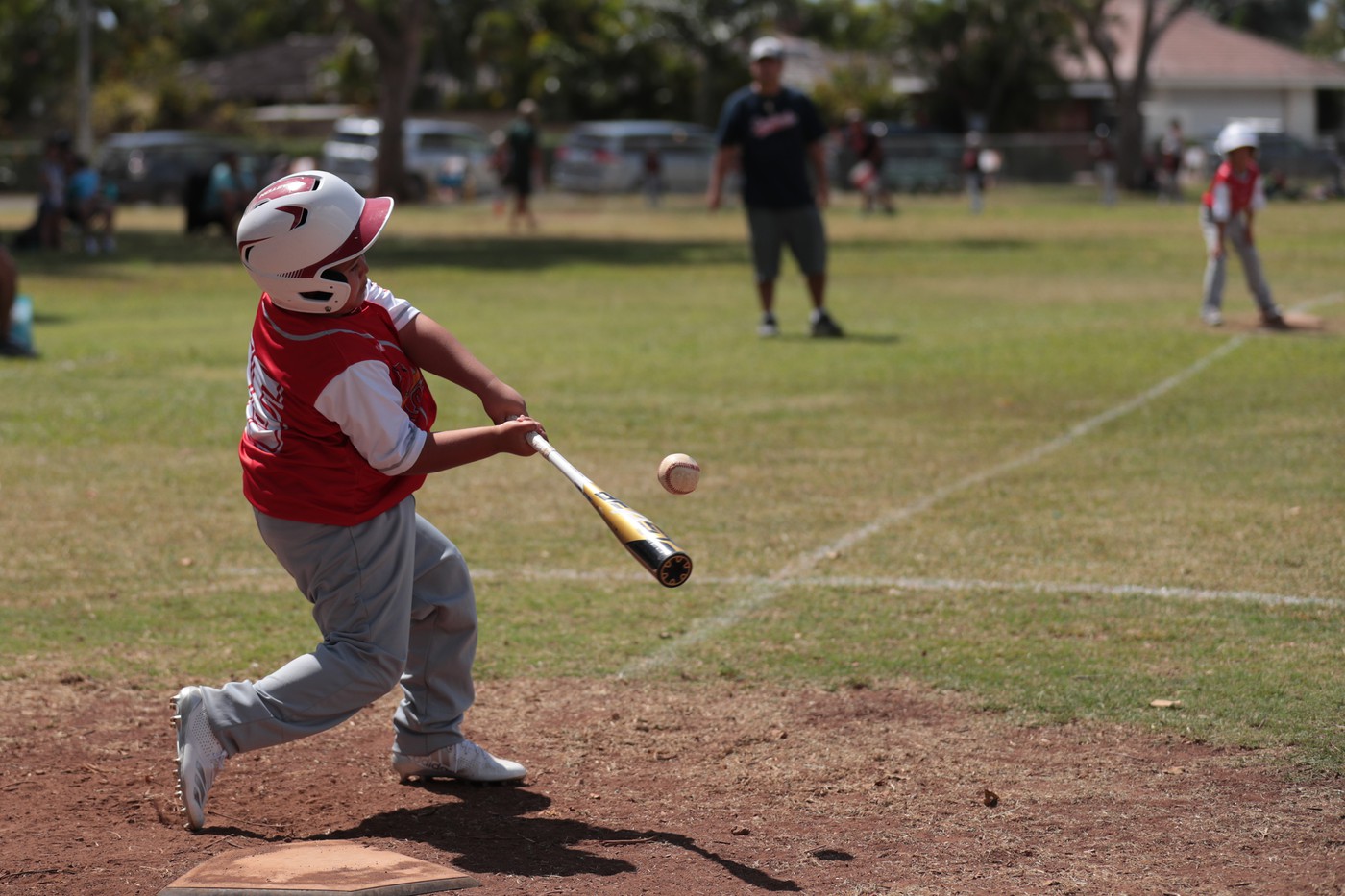 Photo: AM4I8612 (2) | Hawaii Diamond Head Pinto Baseball album ...