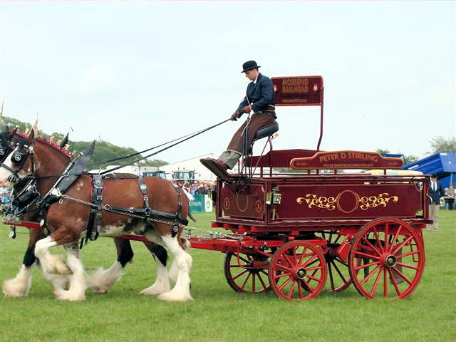 Photo: Clydesdales (Peter D Stirling) | Angus Agricultural Show ...