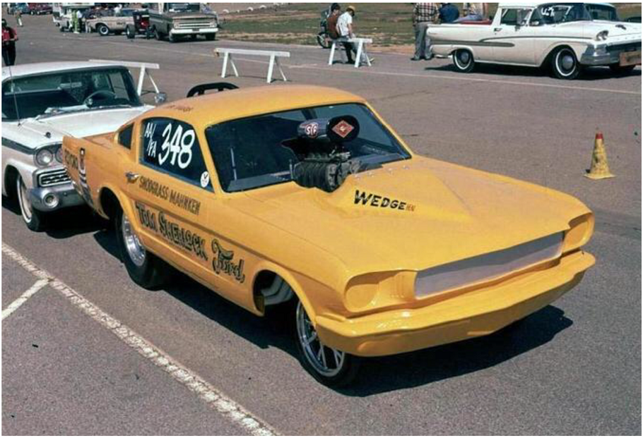 Photo: Gas & Fuel Altereds (23) | FUEL & GAS ALTERED DRAG CARS album ...