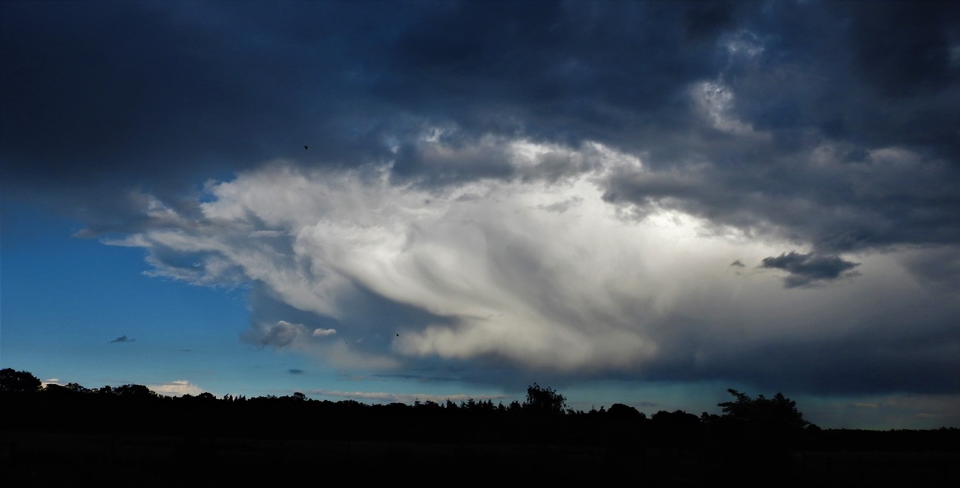 Photo: East Wretham | Norfolk - East Wretham Heath Nature Reserve album ...