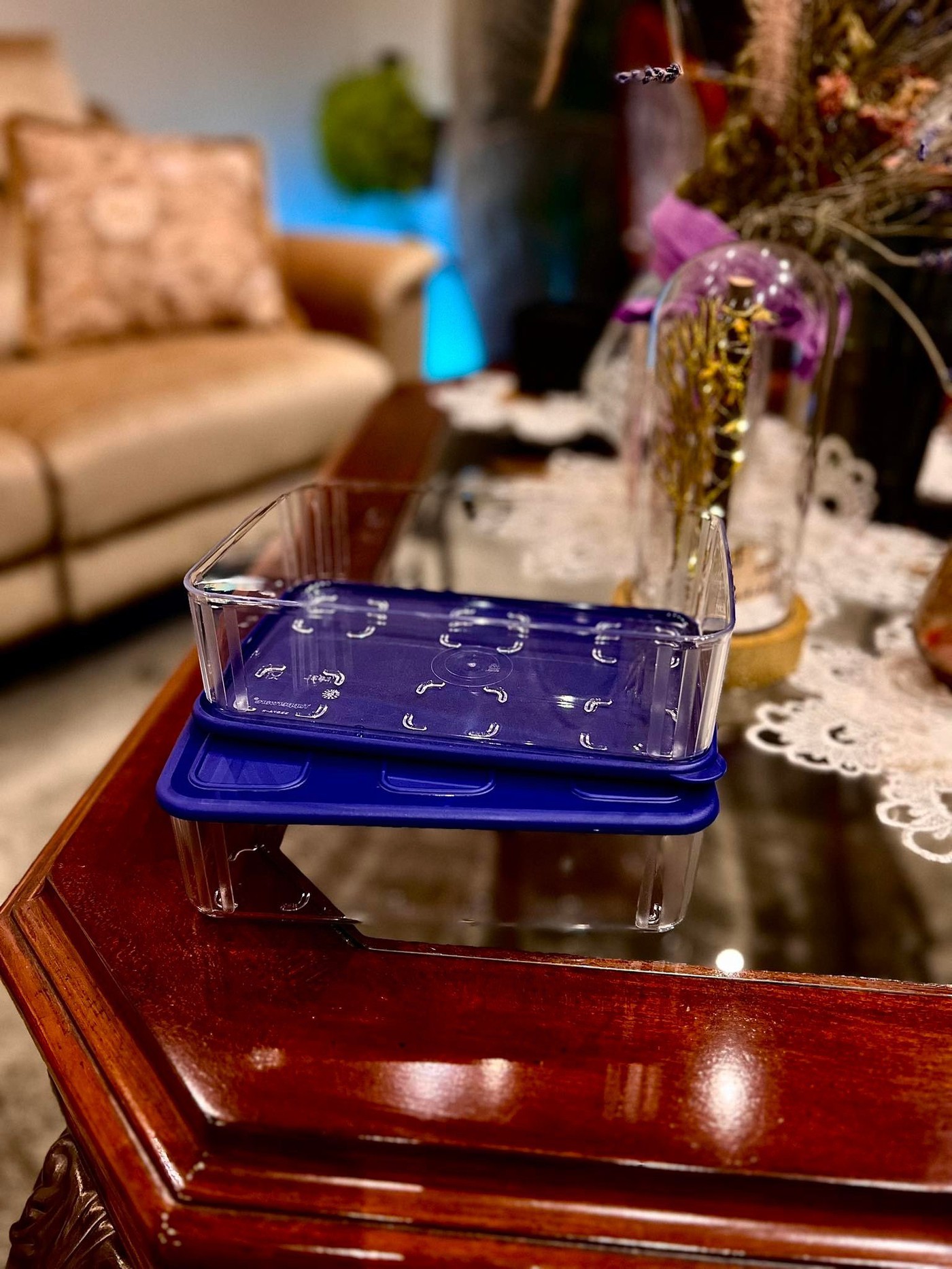 Photo: Gražuoliai šaldytuvo,serviravimo indeliai su 48proc.nuolaida ...