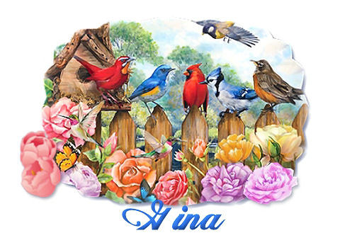 Photo: Gina-birdgroupfence-julea | Gina Animals album | Ginadoodlekin ...