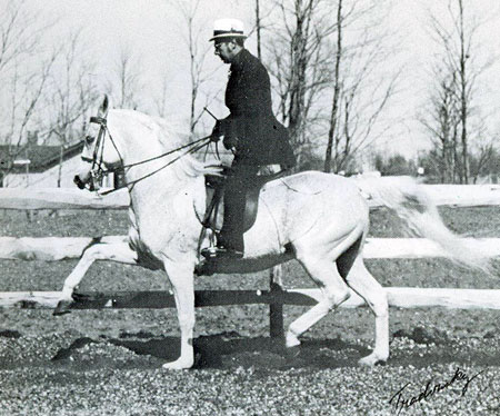 Photo: CARYCYN #117777 (Comet x Cerekiew, by Wielki Szlem) 1961-1981 ...