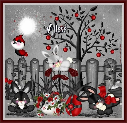 B Garden album | Susan | Fotki.com, photo and video sharing made easy.