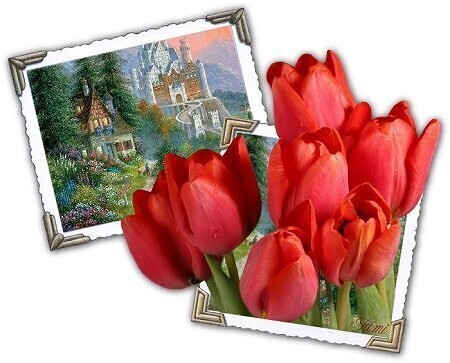 Photo: 002 securedownloadhgf333233223 | Assorted 3 album | Jossie | Fotki.com, photo and video ...