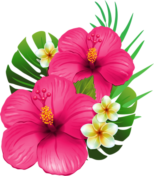 Photo: SS Element (76) | Summer Soul album | Jossie | Fotki.com, photo ...