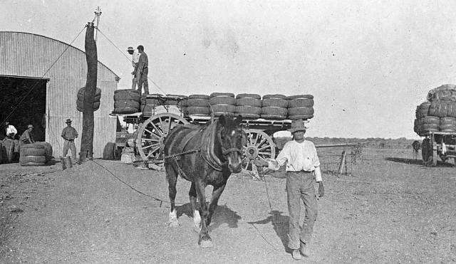 Photo: WINCHING WOOLBALES ONTO WAGONS ON PORTLAND DOWNS STATION ...
