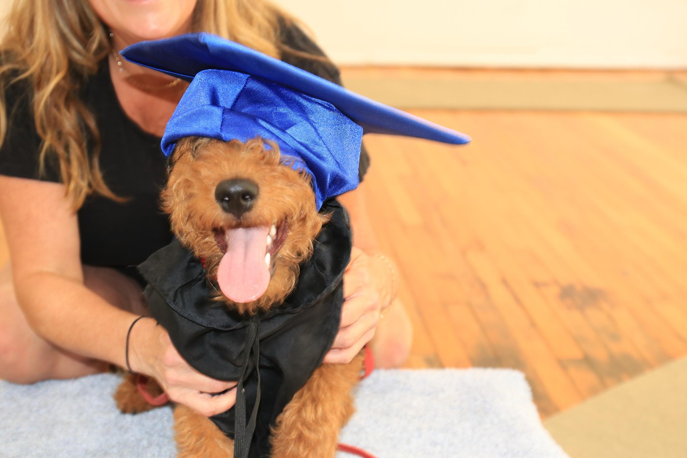 Photo: 2024-06-15 Graduation S1 (52) | Ringwood-06-15-2024-S1 album ...