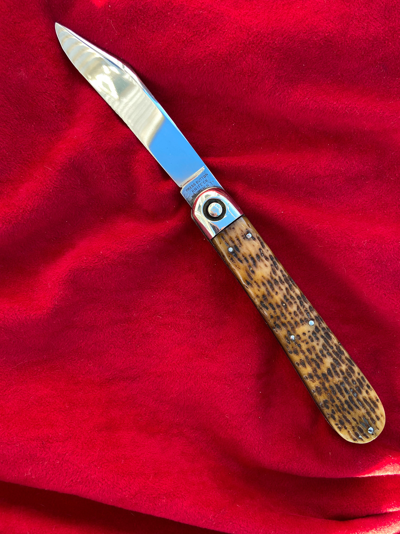 American switchblades album | switch67 | Fotki.com, photo and video ...