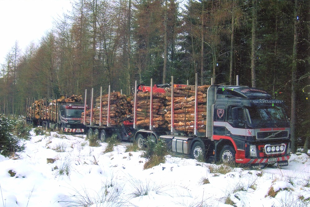 Sandy Morton (Timber Haulage), Balbeggie, Perth, Perthshire. album ...