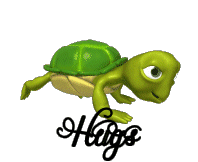 Photo: hugs turtle2~smylee | TURTLE2 album | Smylee | Fotki.com, photo ...