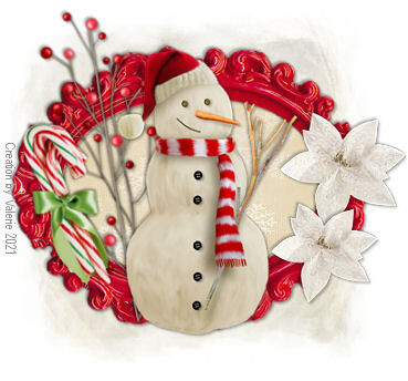 Photo: Christmas Snowman 2021 | 3 album | Janet | Fotki.com, photo and ...