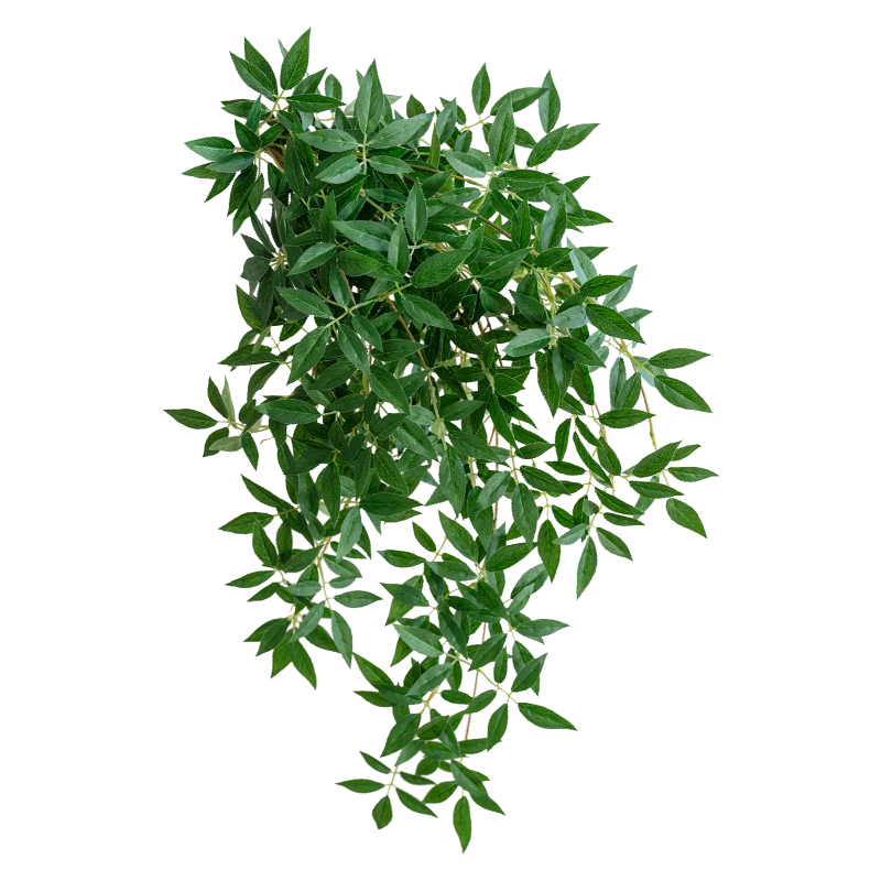 Photo: Miz AgedCrown EL (53) | Aged Crown album | Jossie | Fotki.com ...