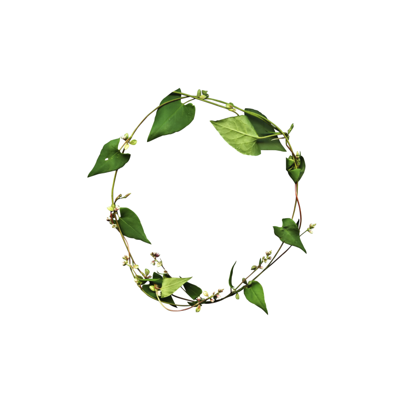 Photo: Miz AgedCrown EL (55) | Aged Crown album | Jossie | Fotki.com ...