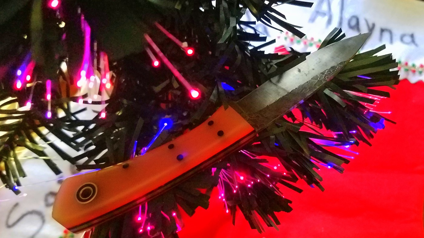 Fiddleback Christmas album | Outrider69 | Fotki.com, photo and video ...