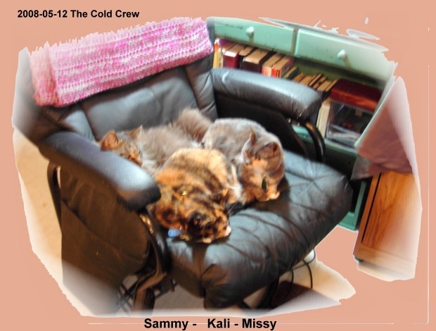 RIP-MISSY-KALI-SAM SAM | Richard and Pamela Myers Blog